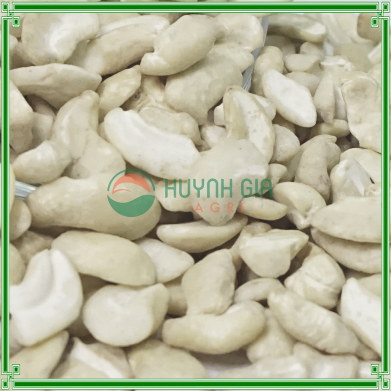 CASHEW NUTS KERNELS - HUYNH GIA AGRI JSC